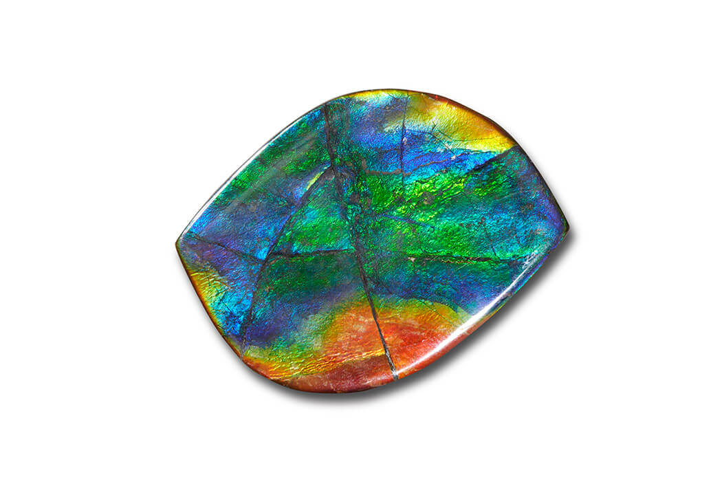 Canadian Ammolite Gemstone 510479 | Hand Specimens